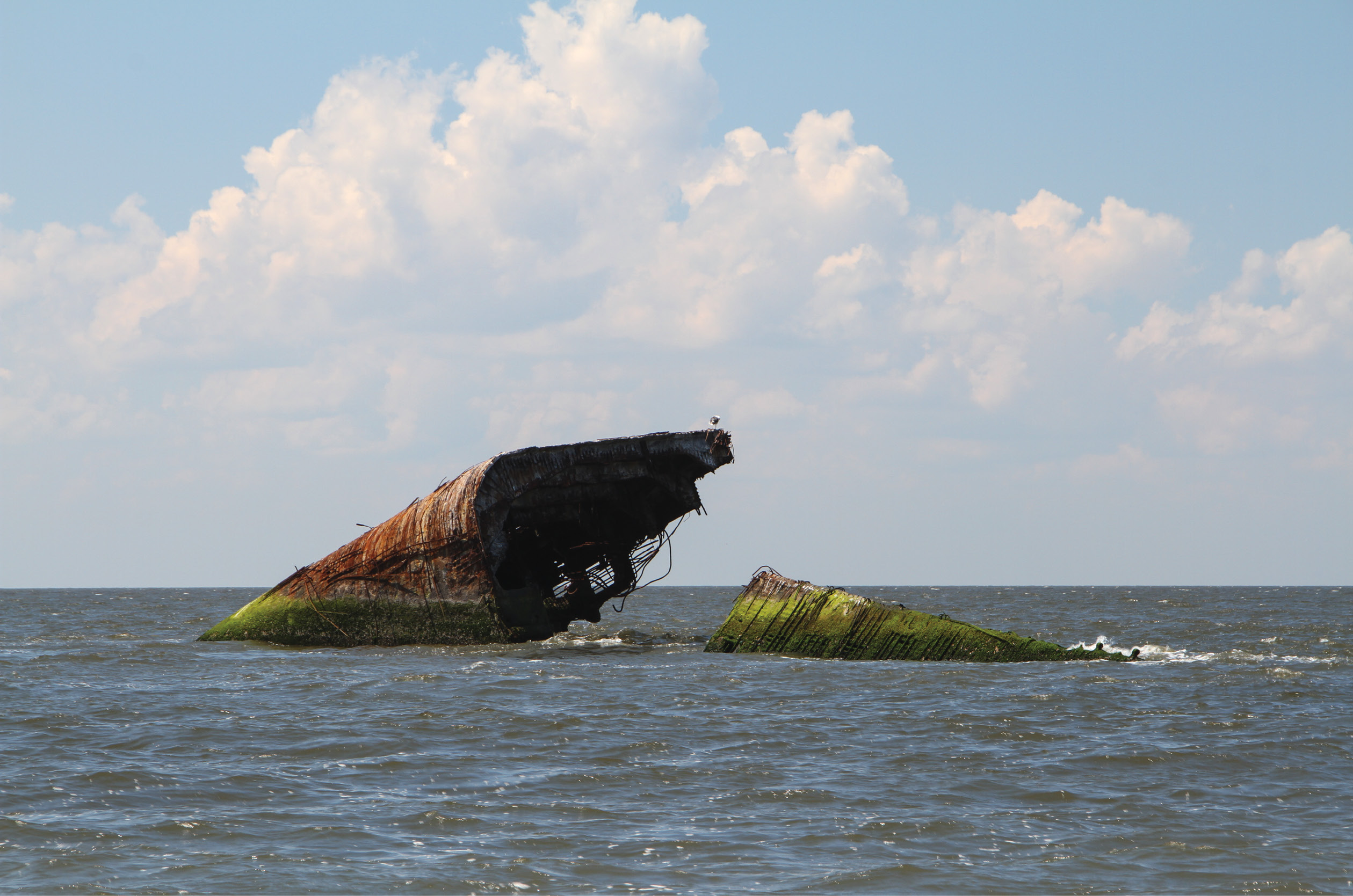 Beneath the Surface: The story of the SS Atlantus – Cape May Magazine