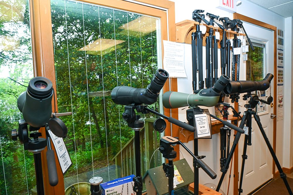 Cape May Bird Observatory Northwood Center – Cape May Magazine