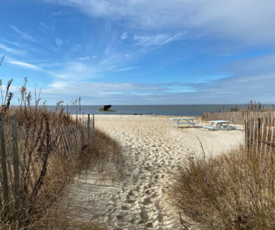 Beneath the Surface: The story of the SS Atlantus – Cape May Magazine